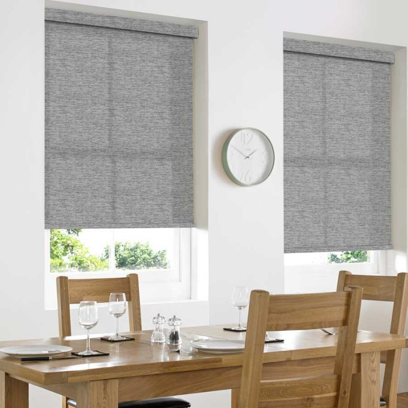 Reagan Platinum Translucent Roller Blind - BudgetBlinds