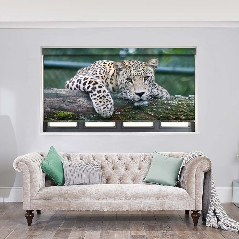 Leopard Picture Roller Blind - BudgetBlinds